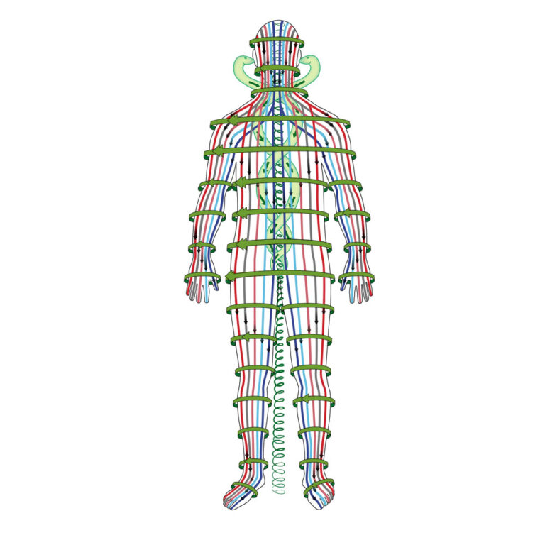 The New Mexico School of Natural Therapeutics